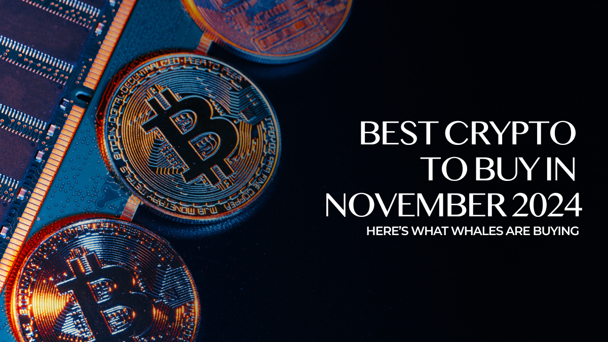 Best Crypto Project to Buy Now—Top Coins Set to Soar in 2024 ...